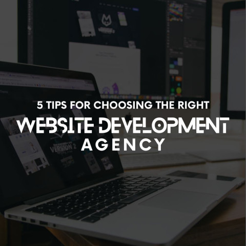5 Tips for Choosing the Right Website Development Agency - Designify